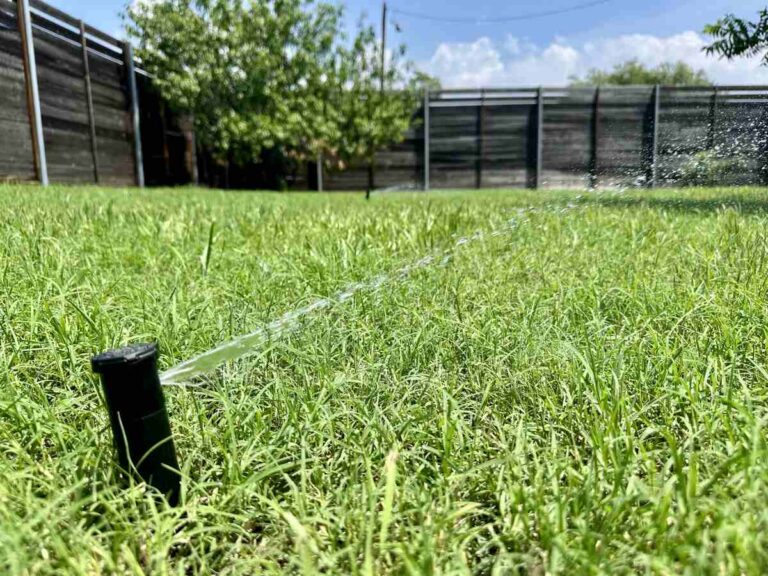 How to Keep Your Lawn Watered with Water Regulations in Austin