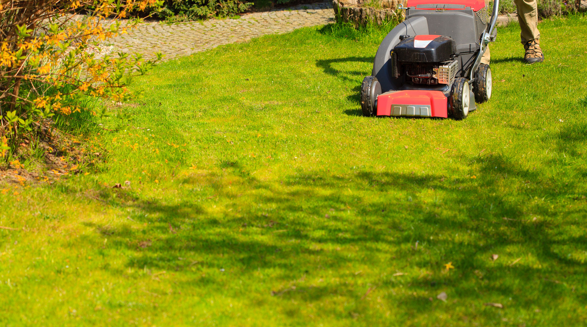 A Complete Guide To Summer Lawn Care In Houston TX