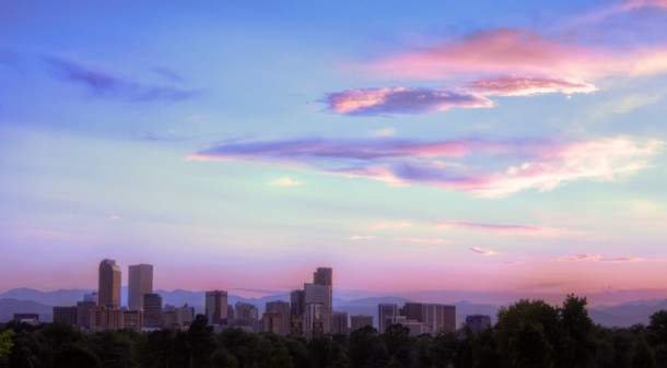The 3 Best Grass Types for Your Denver Lawn