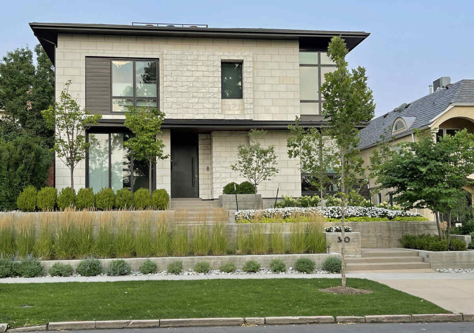 The 3 Best Grass Types for Your Denver Lawn