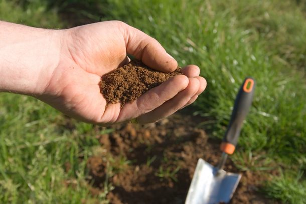 How to Test the Soil pH of Your Lawn
