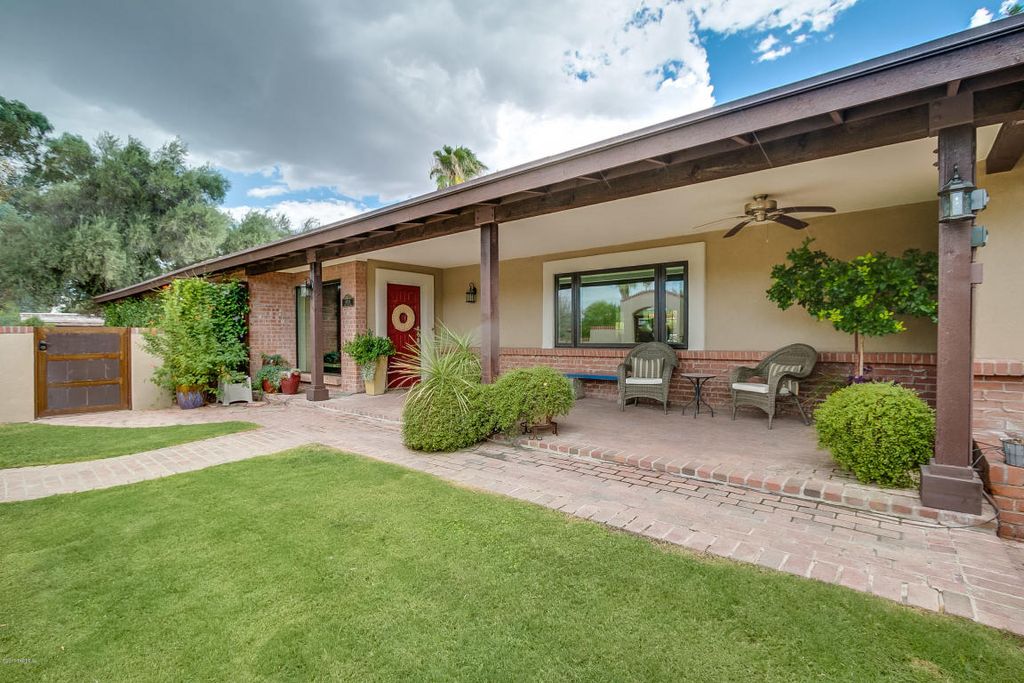 5 Common Grass Types in Tucson, AZ