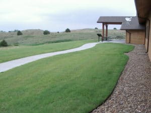 Native Grasses: Are They Right for Your Lawn? - Lawnstarter