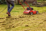 Aeration vs Dethatching: What's the Difference?