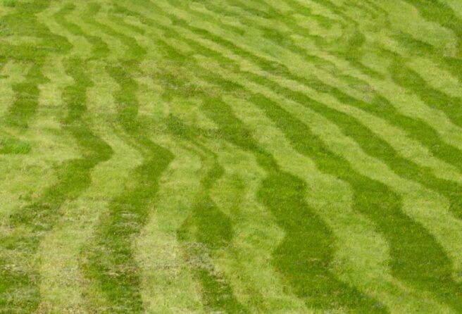 How to Add Stripes to Your Lawn