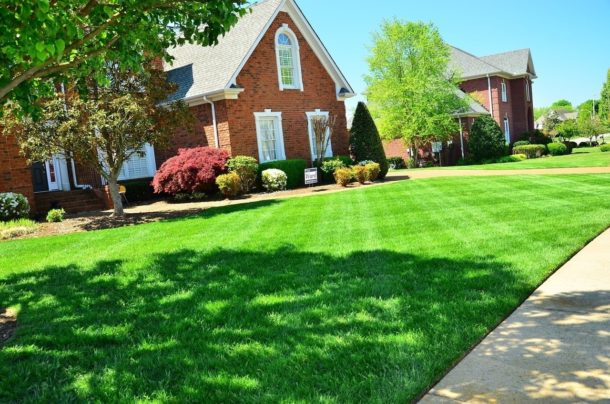 Fresh-Cut Grass Smell is Your Lawn's Shriek of Despair, Science Says