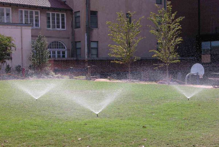 Types of Sprinklers for Your Lawn and Garden