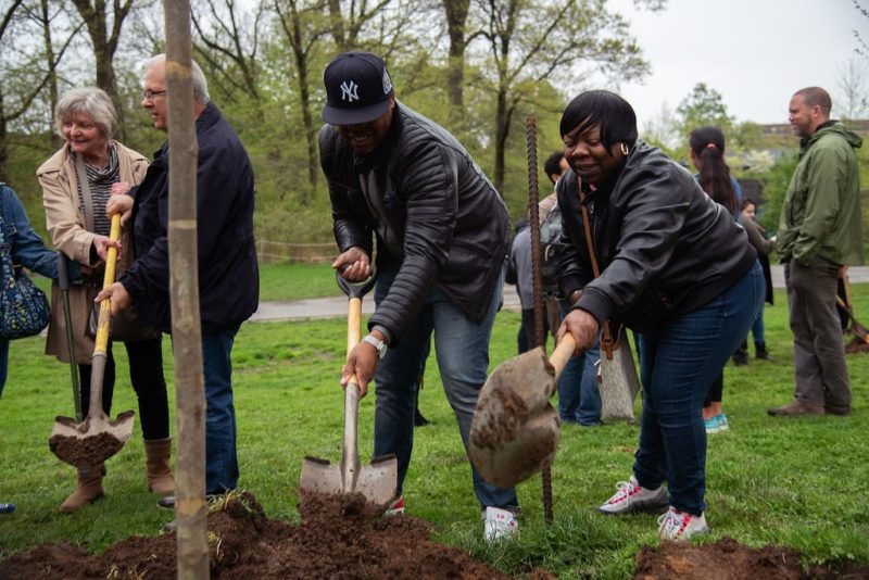 Organizations That Plant Trees Go Out on a Limb for Forests, Communities