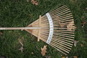12 Types of Rakes: Uses and Tips