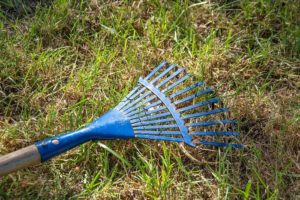 12 Types of Rakes: Uses and Tips