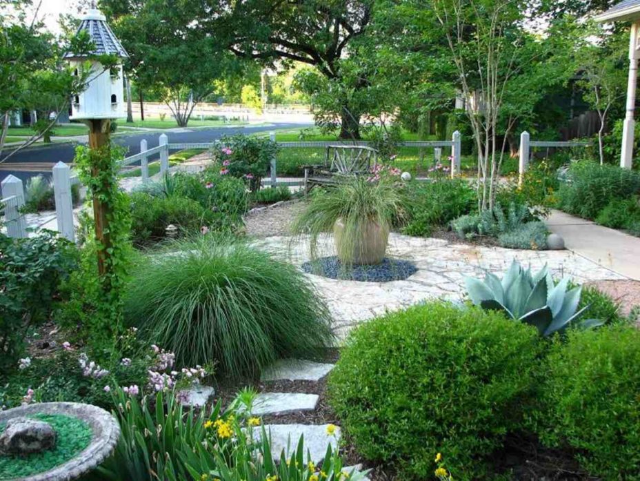 10 Best Ohio Native Plants
