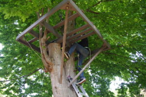How to Build a Treehouse (in 11 Steps)