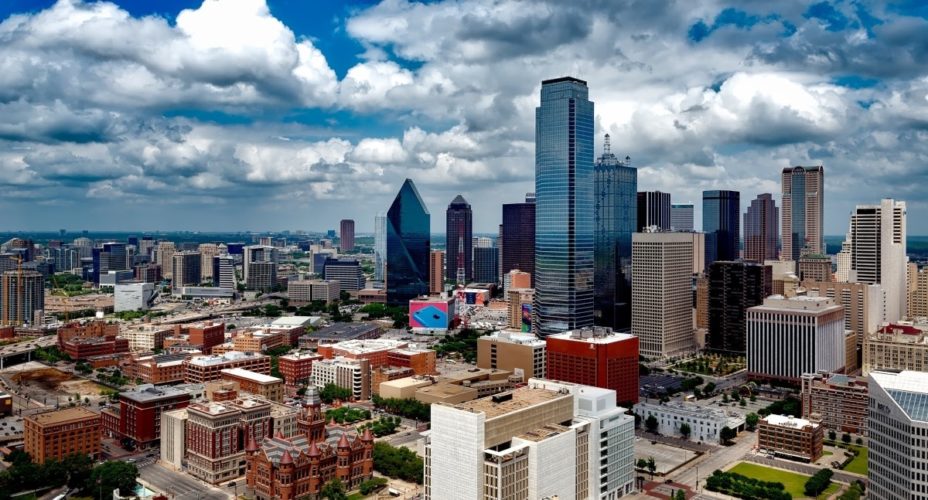 The Best Landscape Trees for Dallas
