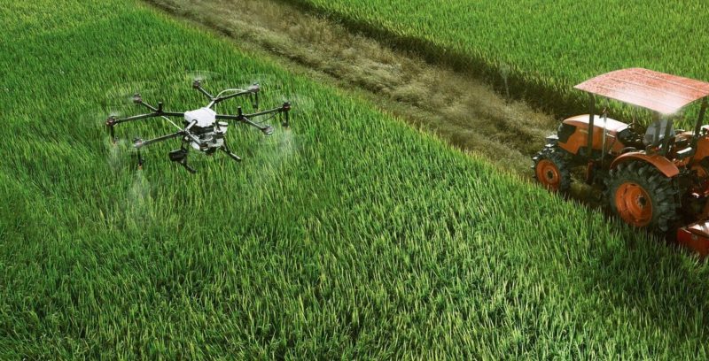 Best Colleges and Universities for Agricultural Sciences