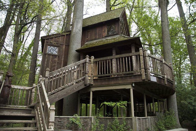 14 Treehouse Ideas for Your Backyard - LawnStarter