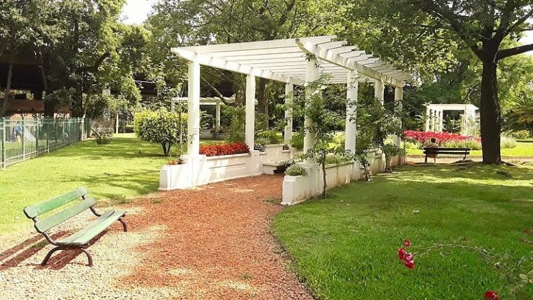 A Guide to Pergolas: Types, Uses, Costs, and Installation