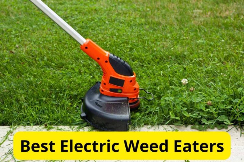 7 Best Electric String Trimmers of 2025 [Reviews]