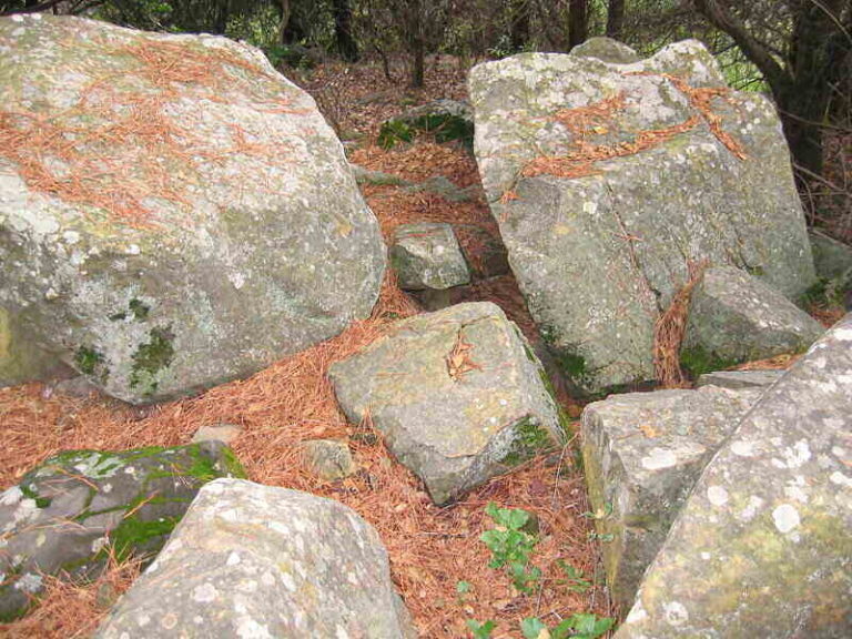 A Complete Guide to Landscaping With Boulders - LawnStarter