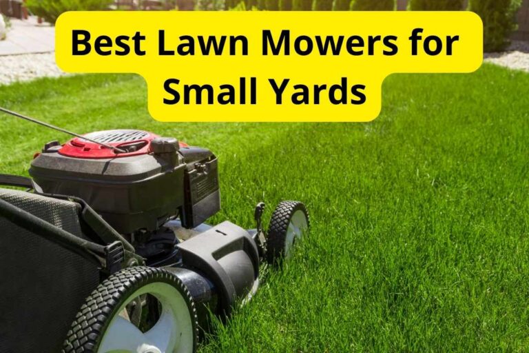 10 Best Lawn Mowers for Small Yards in 2026 [Reviews]