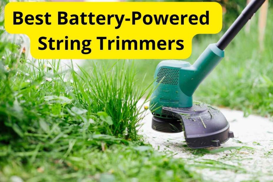 Best Cordless String Trimmers 2025 – PMMQEN