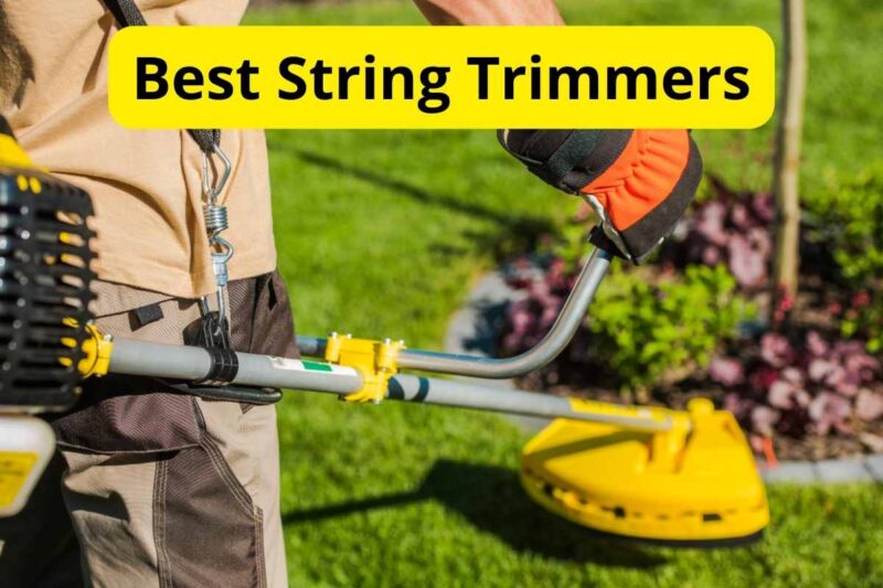 8 Best String Trimmers of 2025 [Reviews]