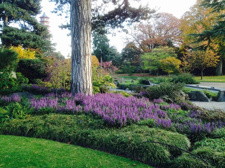 Pricing Guide: How Much Does Landscaping Cost in 2025?