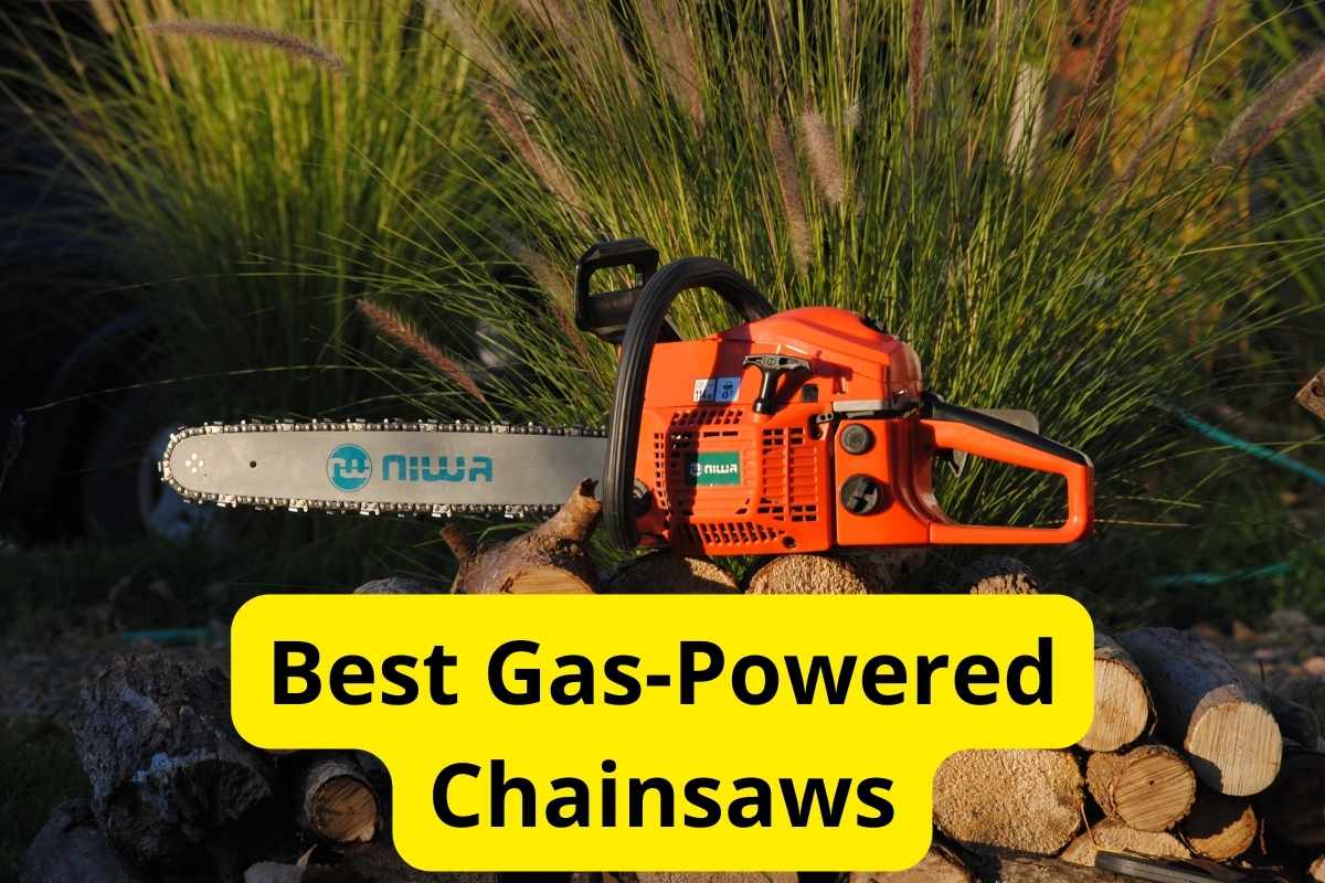 9 Best Gas-Powered Chainsaws of 2024 [Reviews]