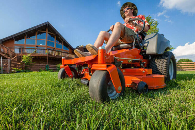 Lawn Care For Beginners (in 12 Easy Steps)