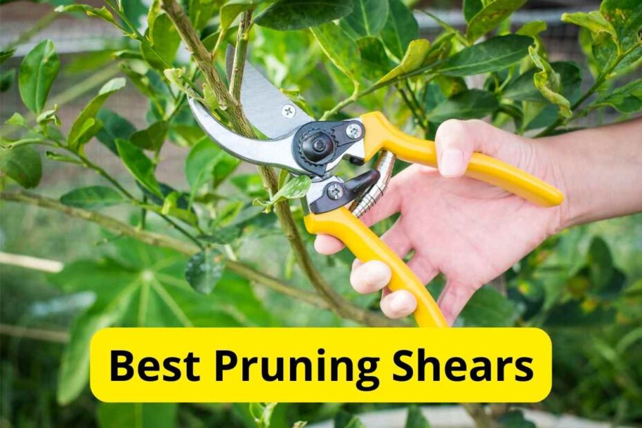 8 Best Garden Scissors of 2025 [Reviews]