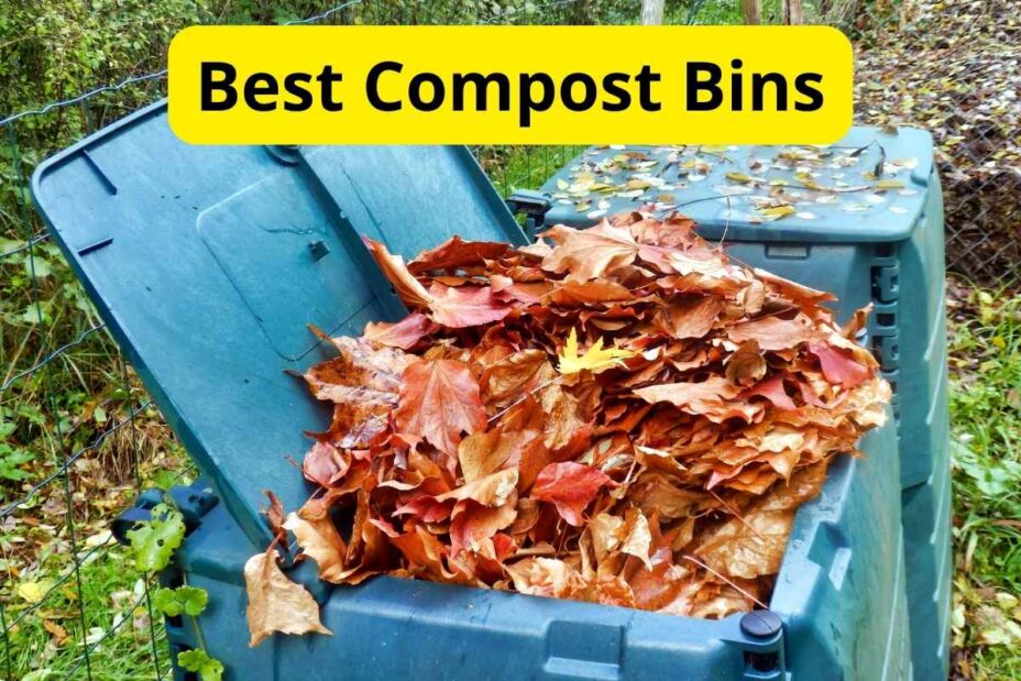 5 Best Compost Bins of 2026 [Reviews]
