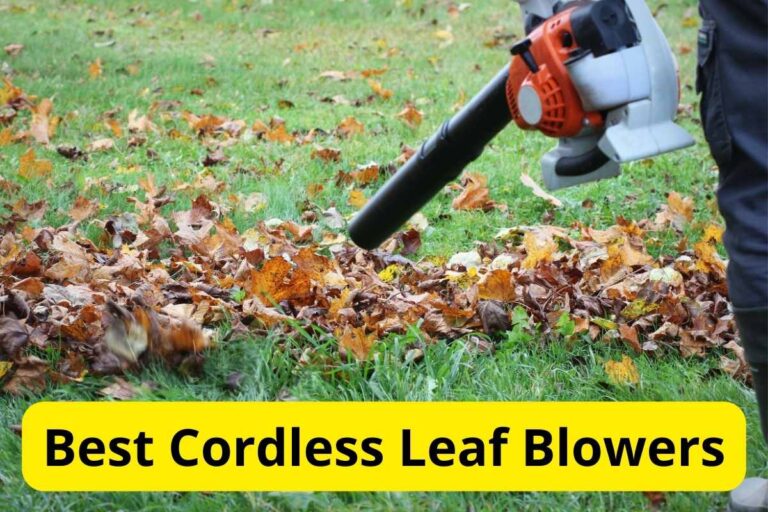 5 Best Cordless Leaf Vacuums of 2025 [Reviews]