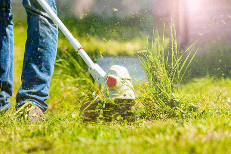 8 Best Brush Cutters of 2022 - [Reviews] - Lawnstarter
