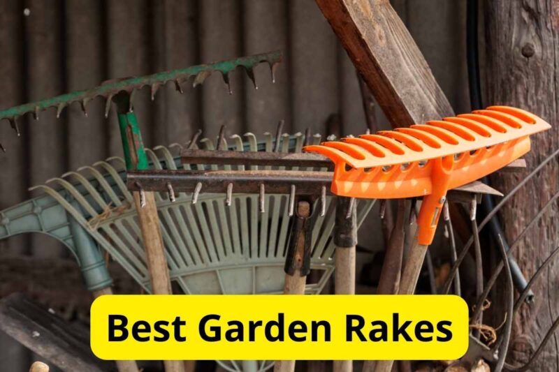 5 Best Garden Rakes of 2025 [Reviews]