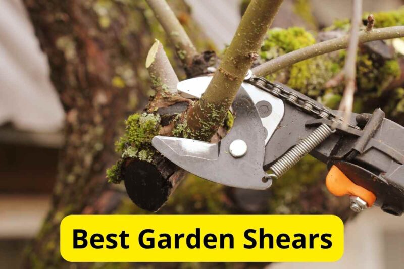 10 Best Garden Shears of 2025 [Reviews]