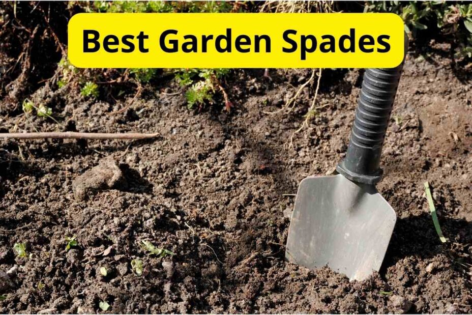 9 Best Garden Spades of 2025 [Reviews]