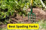 8 Best Spading Forks of 2026 [Reviews]