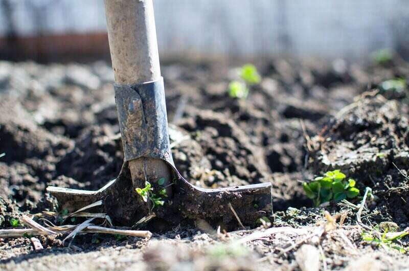 8 Best Shovels for Gardening of 2022 [Reviews] - Lawnstarter
