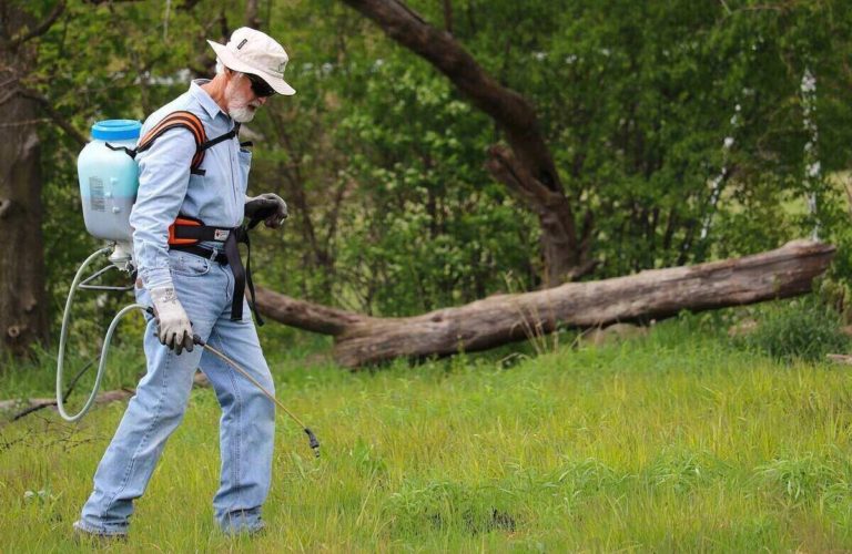 10 Best Backpack Weed Sprayers of 2022 [Reviews] - Lawnstarter