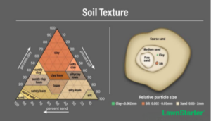 Guide to Soil Types: Pros, Cons, and Plant Suggestions