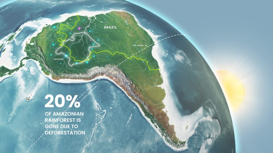 Deforestation Statistics: The State of Forests and Forestry in 2022