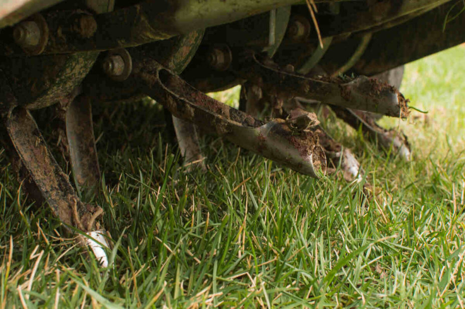 How to Aerate a Lawn