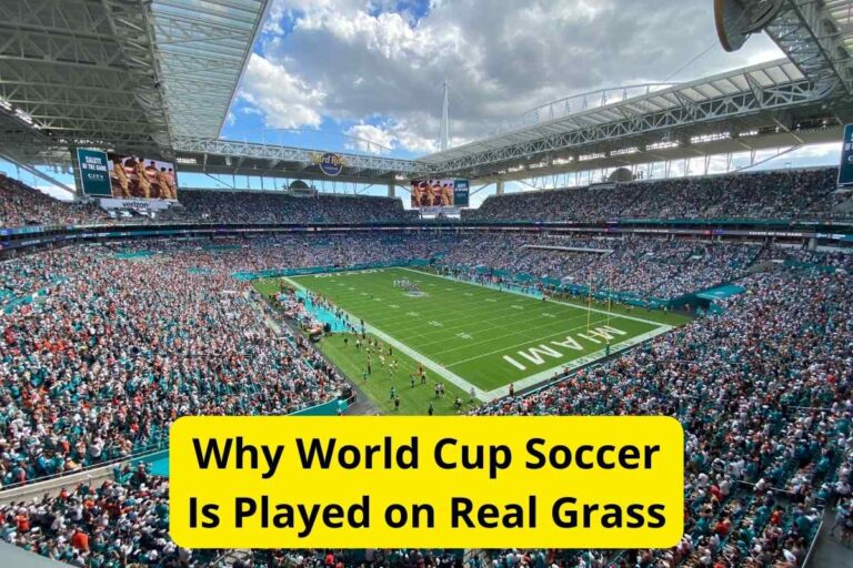U.S. Stadiums Switch to Grass for FIFA World Cup 2026