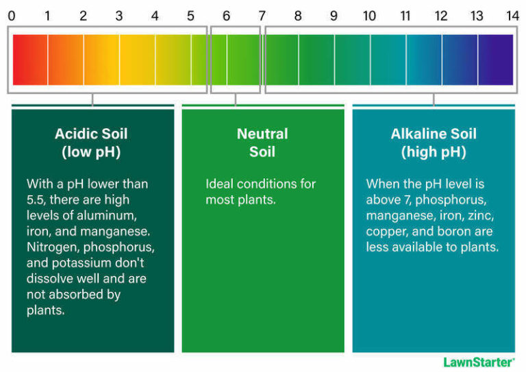 How to Change Your Soil pH