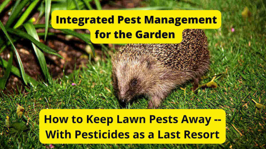 Integrated Pest Management for the Garden
