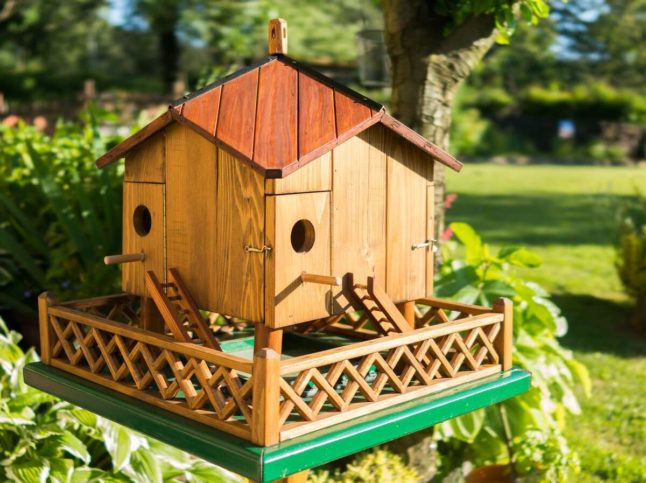 How to Attract Birds to Your Yard