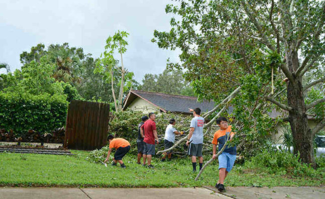 How to Clean Up Your Yard After a Hurricane - LawnStarter
