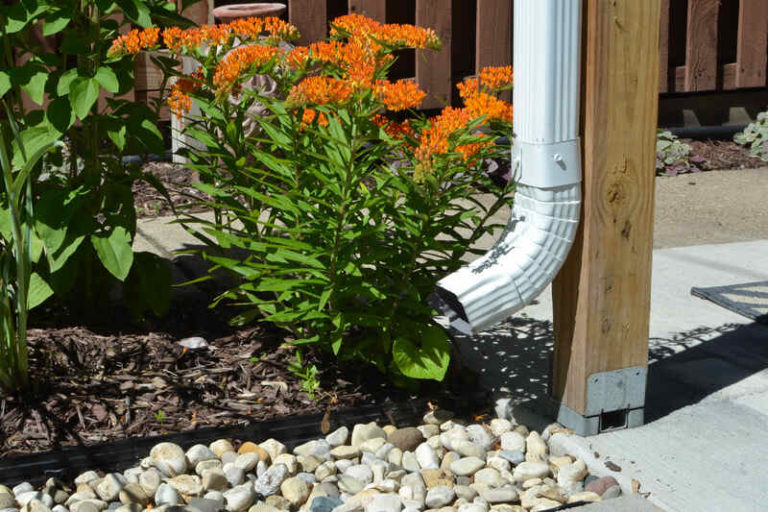 How to Control Erosion in the Yard