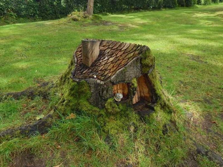 9 Tree Stump Ideas to Elevate Your Yard