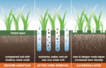 What is Power Seeding? It’s Slit Seeding for Lawn Restoration