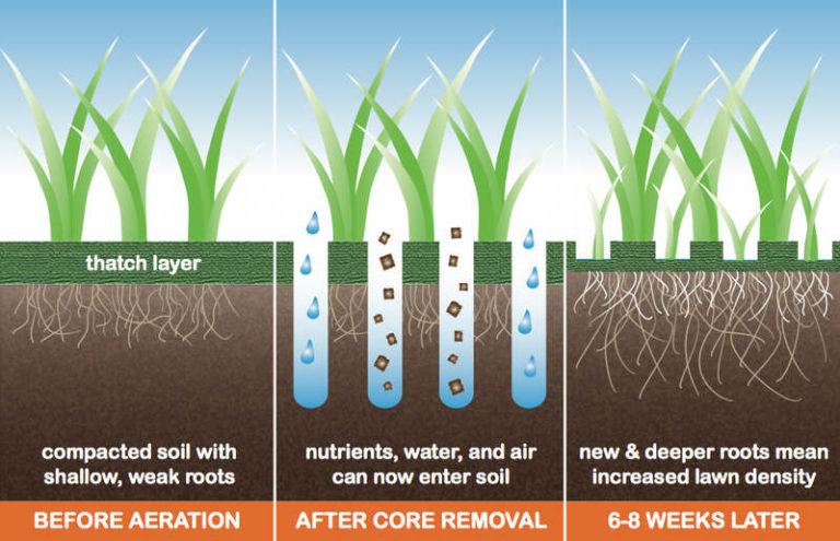 What is Power Seeding? It’s Slit Seeding for Lawn Restoration